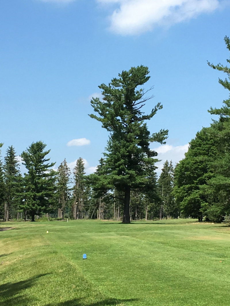 Course Gallery – Antioch Hills Golf Club